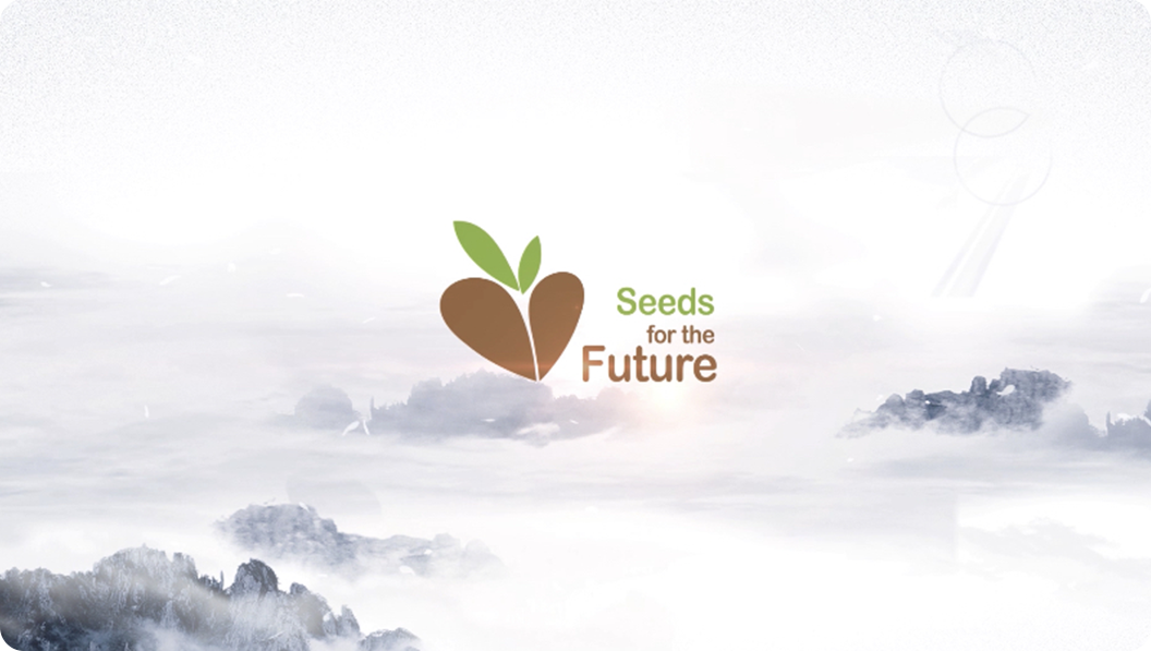 Huawei - Seeds For The Future - PROGRAM
